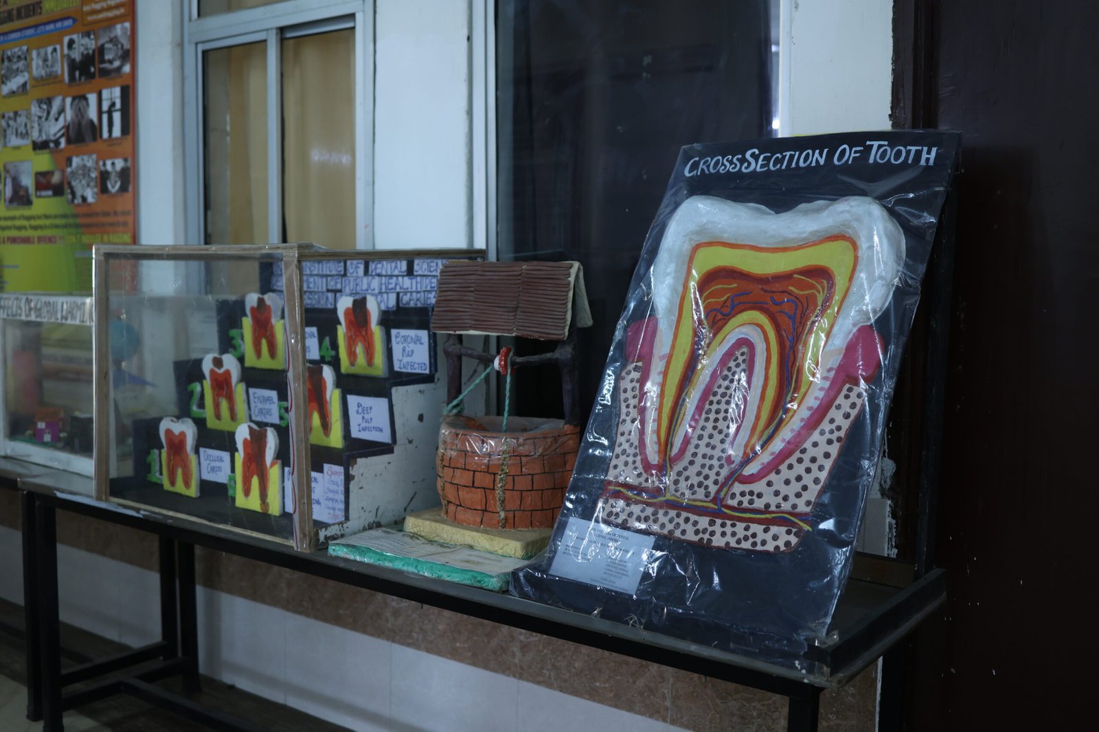 GALLERY – Dental Sciences