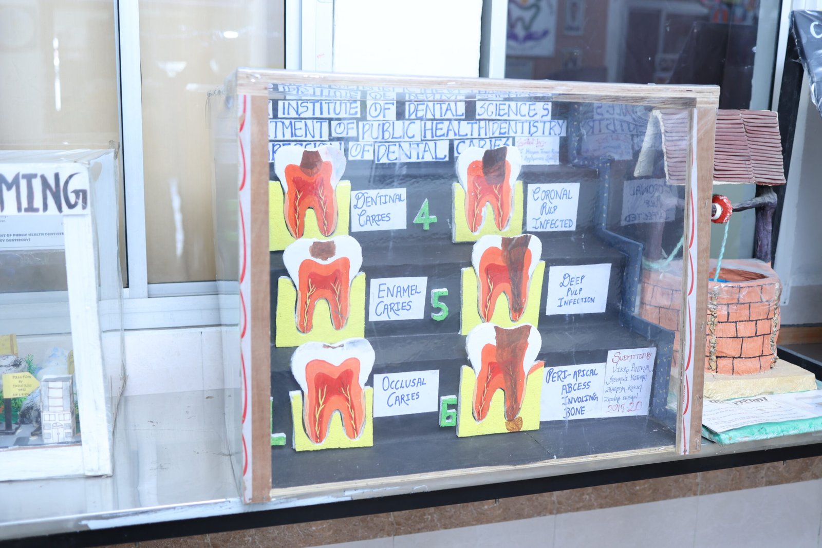 GALLERY – Dental Sciences