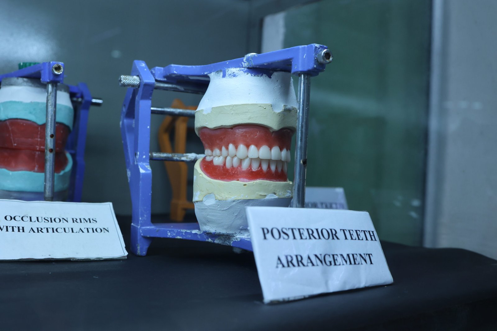 GALLERY – Dental Sciences