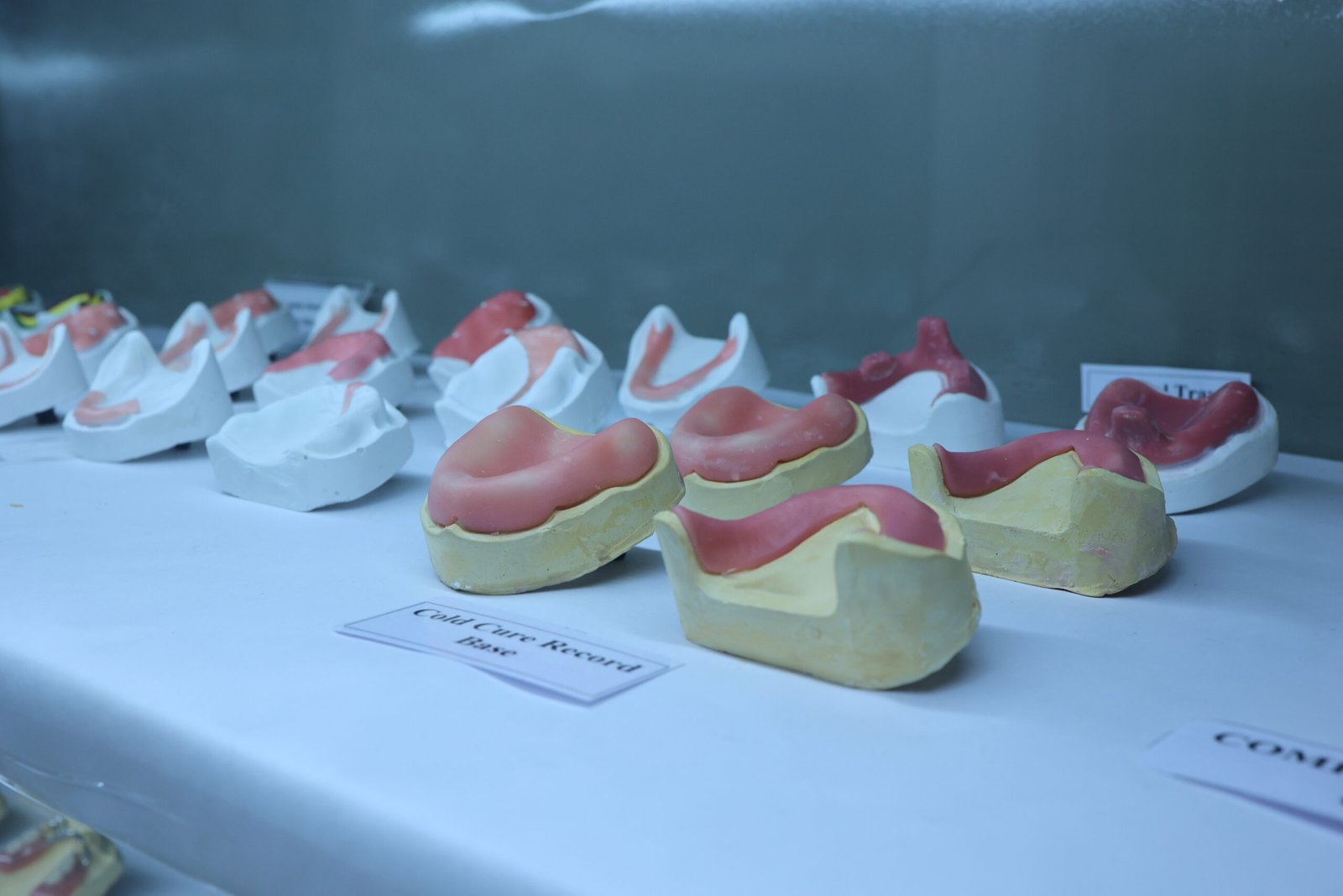 GALLERY – Dental Sciences